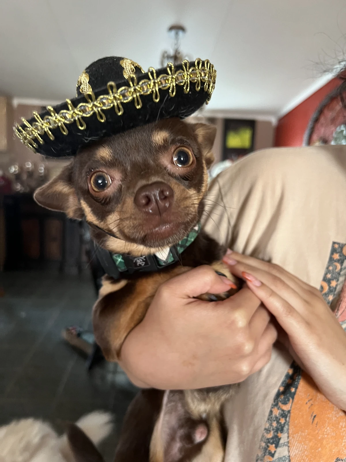 Dante | Fernando Vargas Wiki | Fandom