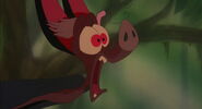 Batty Koda/gallery | FernGully Wiki | Fandom