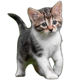 Kitty cat | Mr Ferret's Nextbots Wiki | Fandom