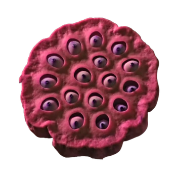 Trypophobia | Mr Ferret's Nextbots Wiki | Fandom