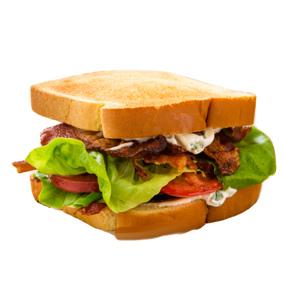 Sandwich Mr Ferrets Nextbots Wiki Fandom