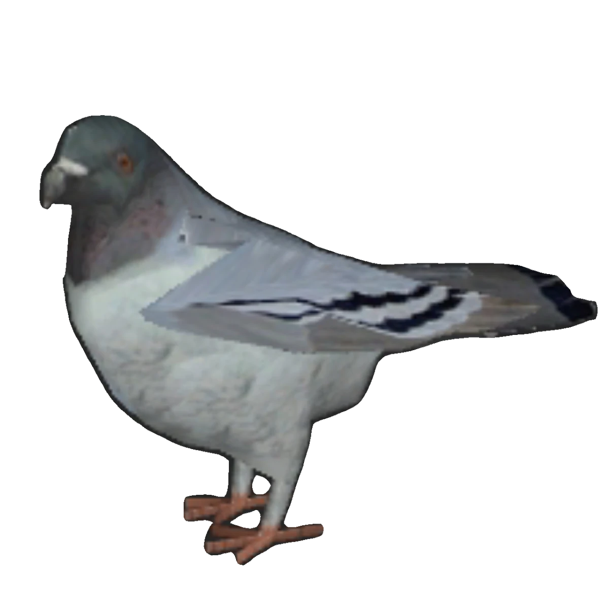 Pigeon of Gmod | Mr Ferret's Nextbots Wiki | Fandom