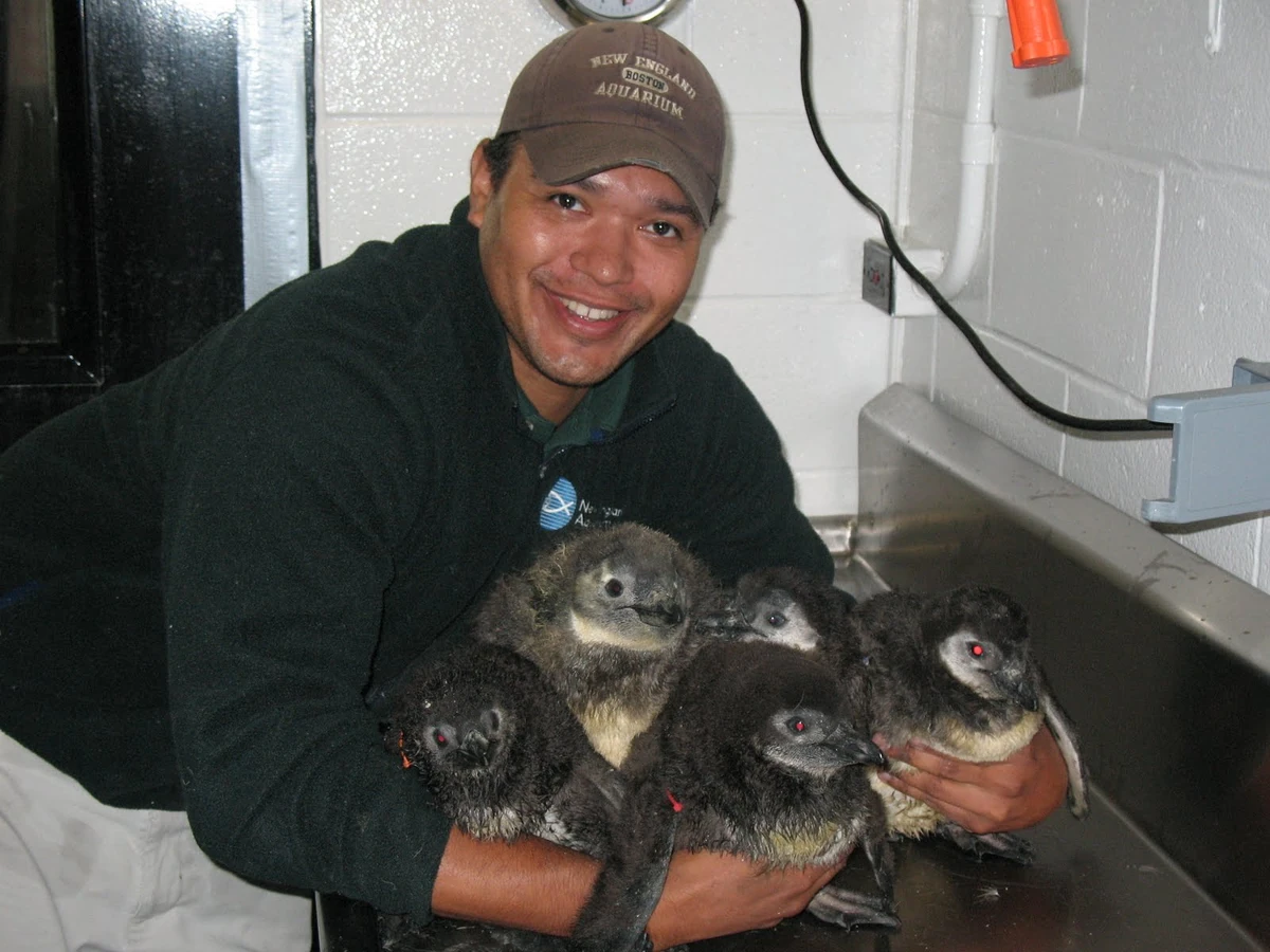 Paul Leonard | Fetch With Ruff Ruffman Wiki | Fandom