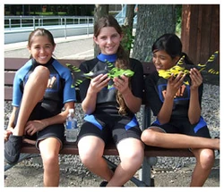 Fetch With Ruff Ruffman Season 5