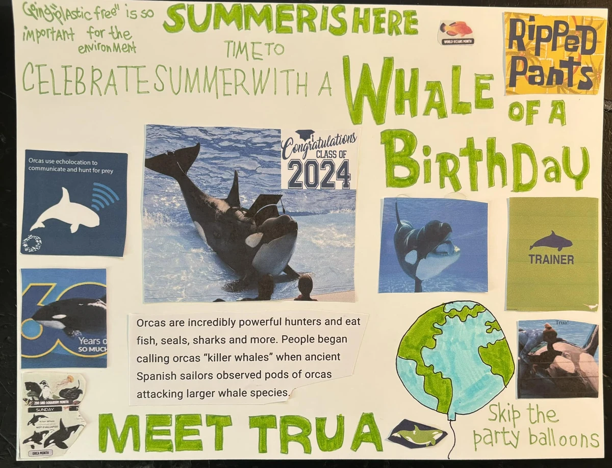 Trua | Fetch With Ruff Ruffman Wiki | Fandom