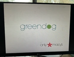 Macy's | Fetch With Ruff Ruffman Wiki | Fandom