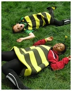 To Bee or Not to Bee | Fetch With Ruff Ruffman Wiki | Fandom