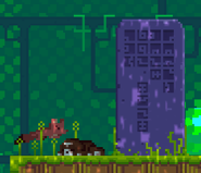 Zuish Language | FEZ Game Wiki | Fandom