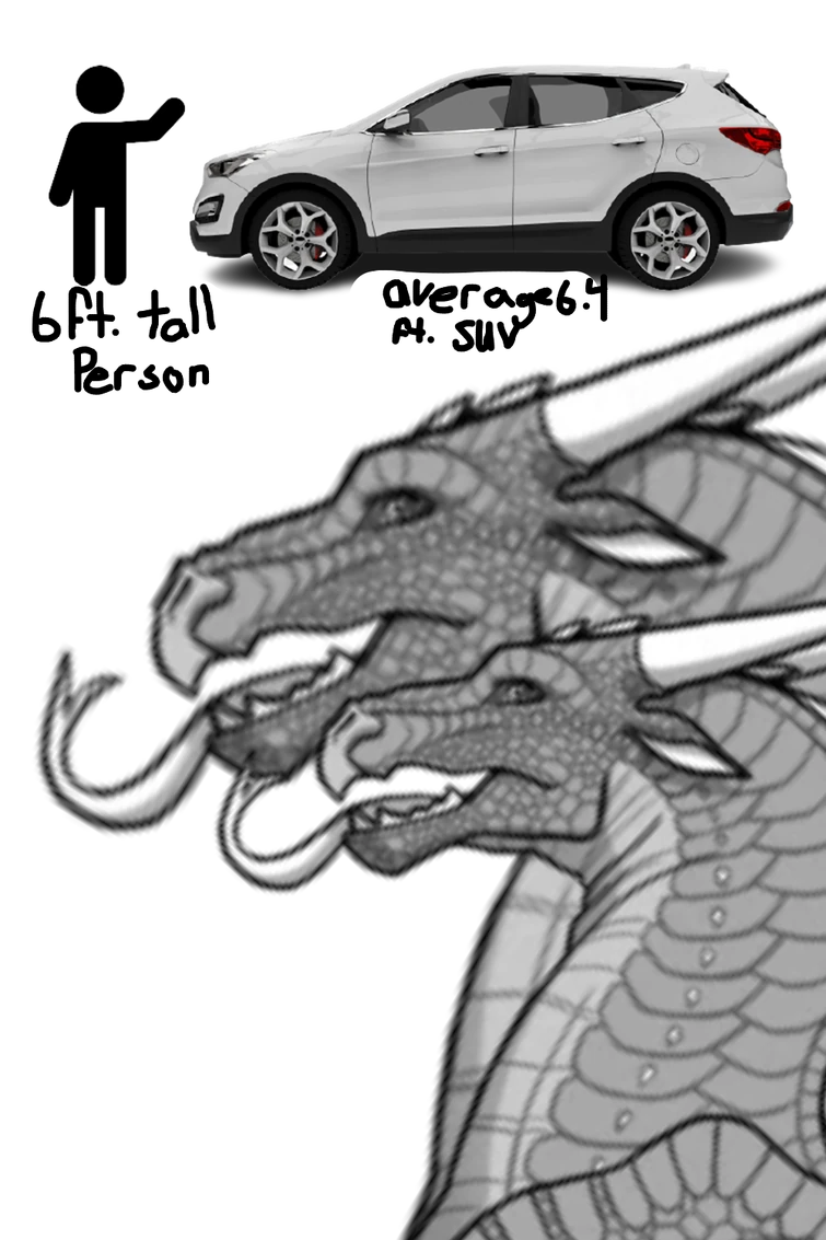 How large are dragons compared to humans? | Fandom