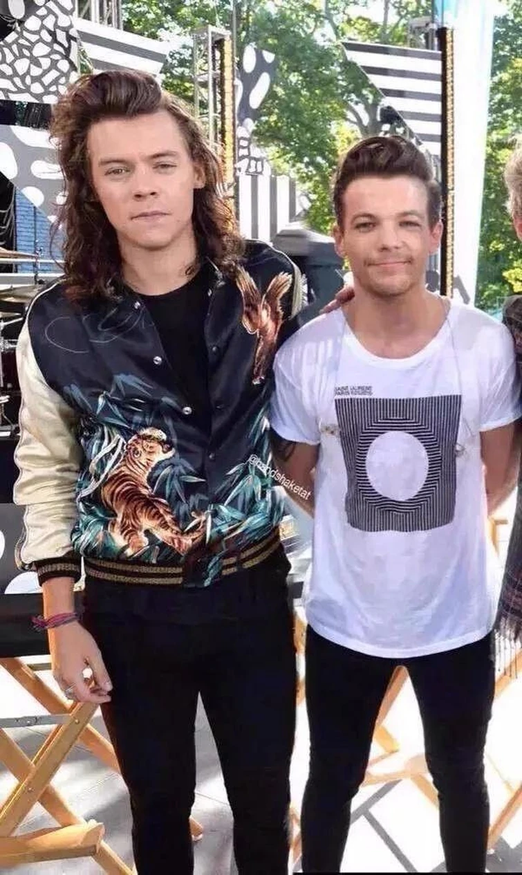louis and harry's height difference is one of the eight wonders of the ...