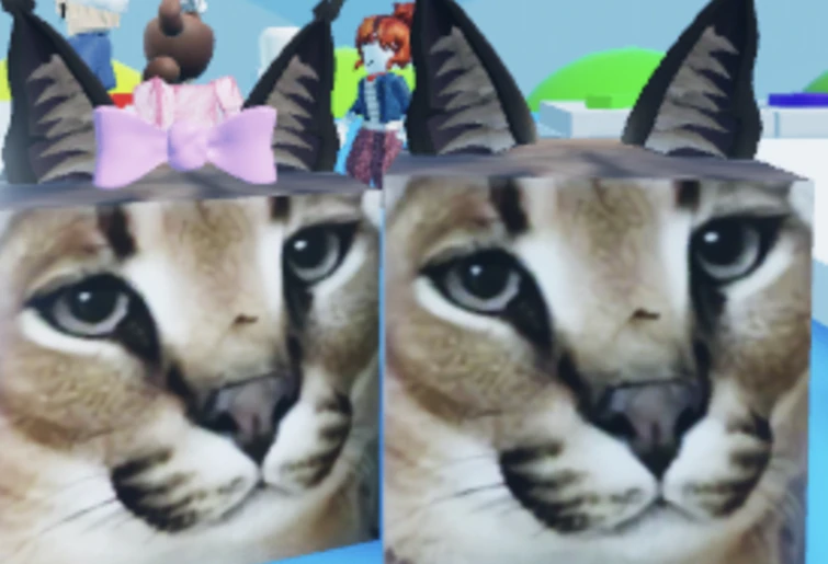 Floppa family | Fandom