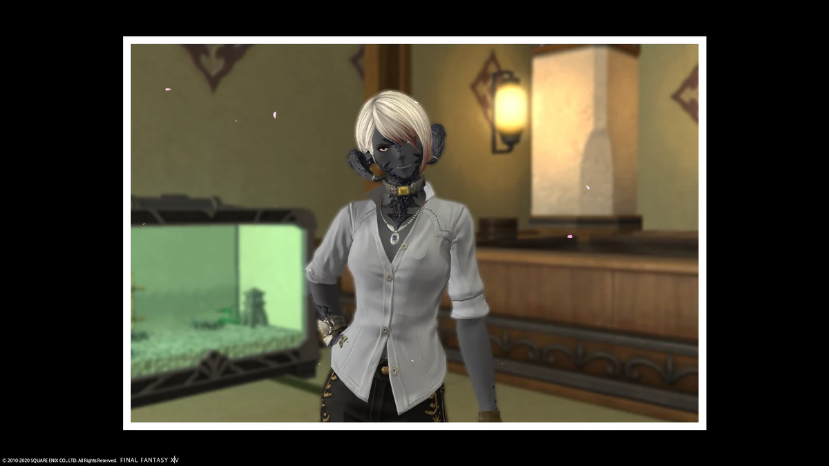 Cotota Dotharl | FF14-Light Wiki | Fandom