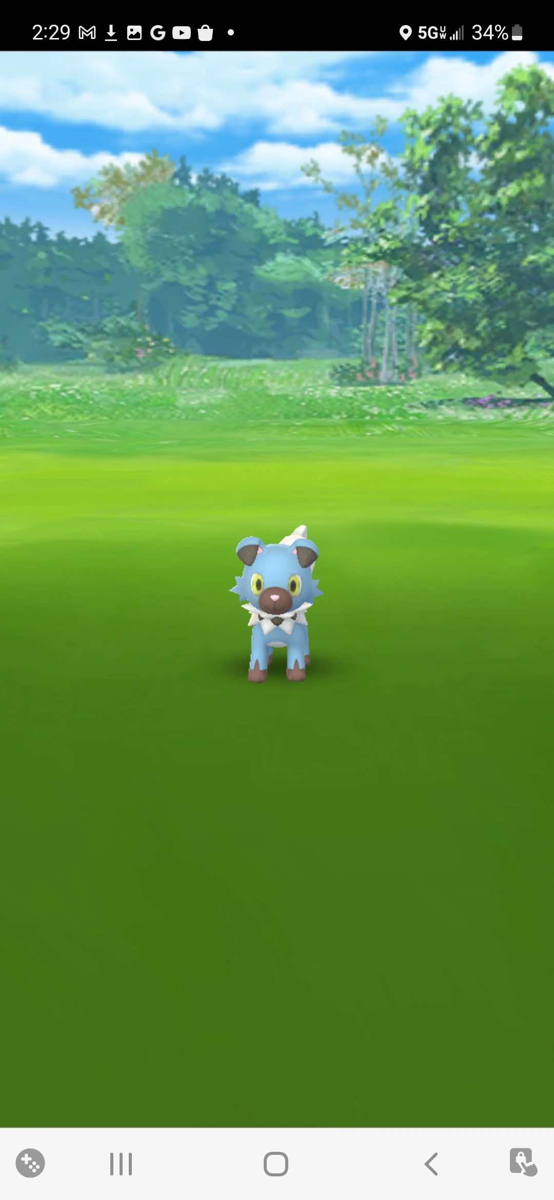 Shiny Rockruff from Third Raid/Fourth Encounter! | Fandom