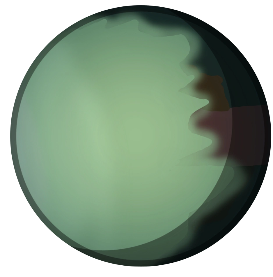 Chat did I cook | Fandom