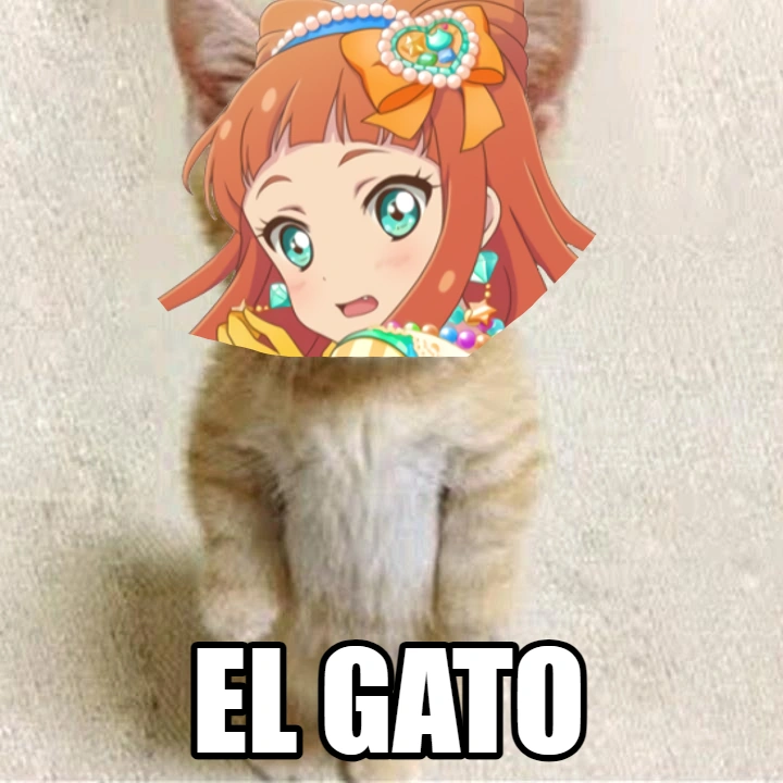 el gato | Fandom