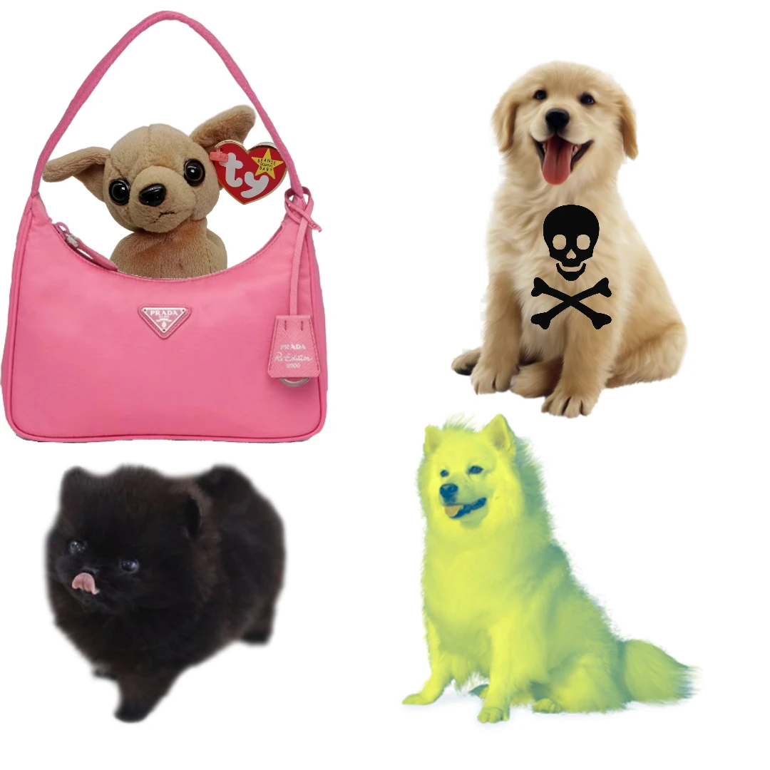 Dogs mentioned in Taylor Swift songs collage- | Fandom