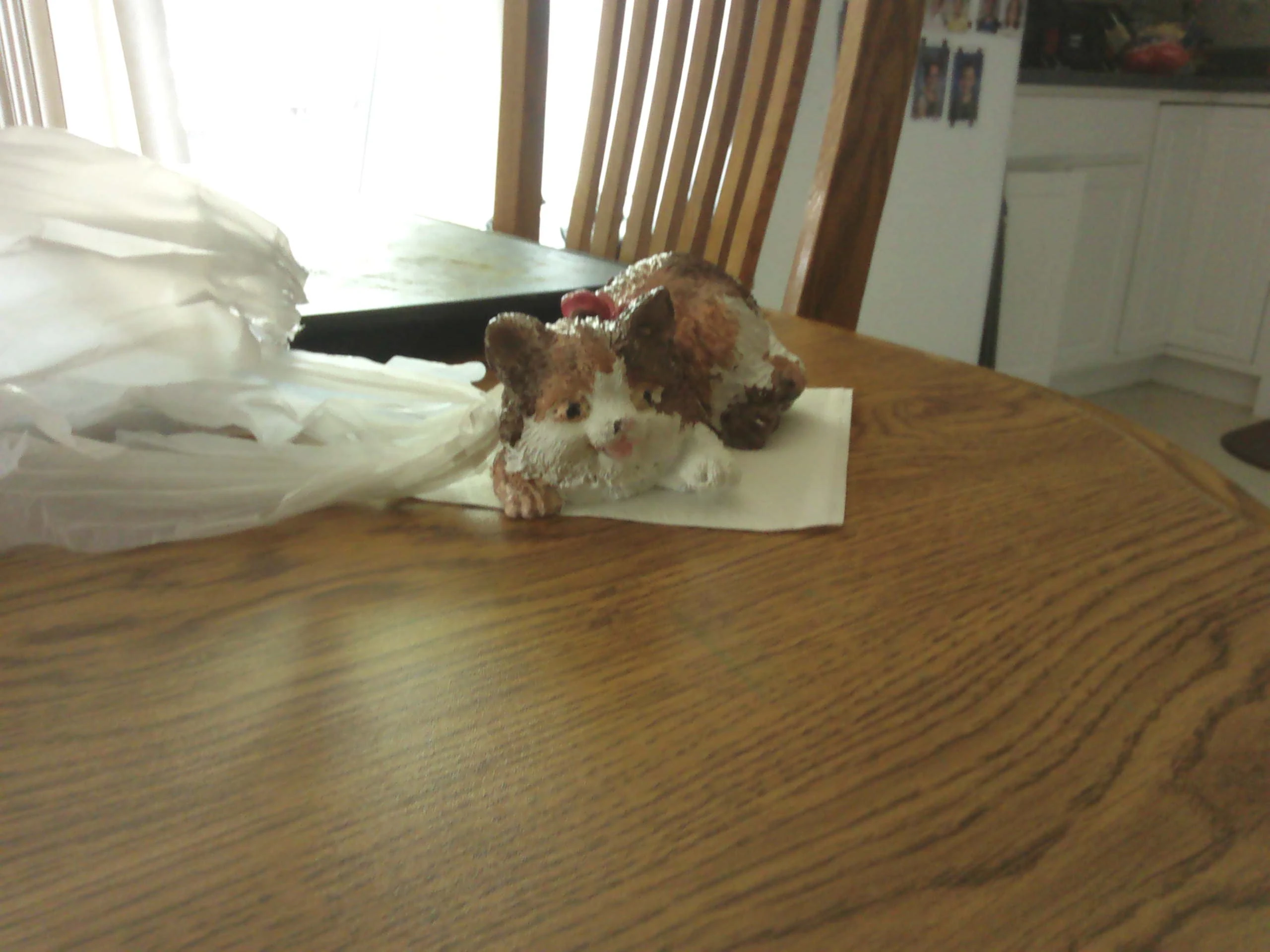 I finished painting this cat as Chachamaru :D | Fandom