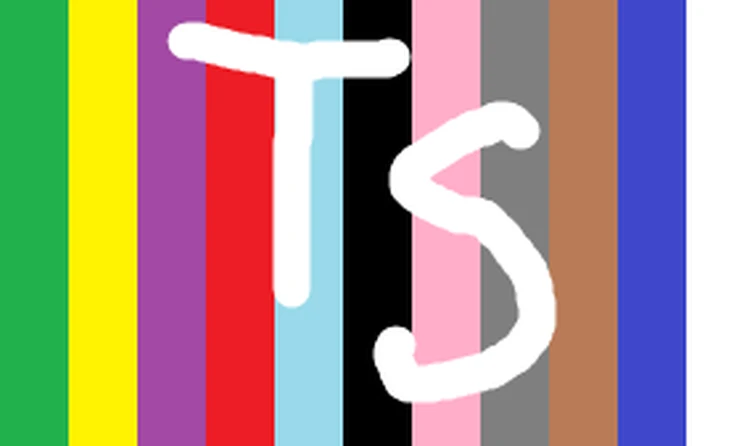 I got bored and decided to design a flag for us Swifties :3 | Fandom