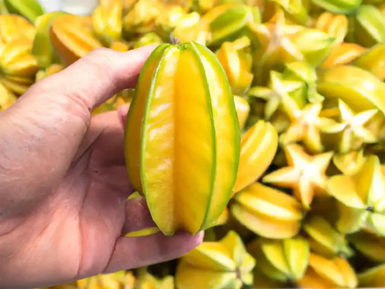 Light fruit found Irl | Fandom