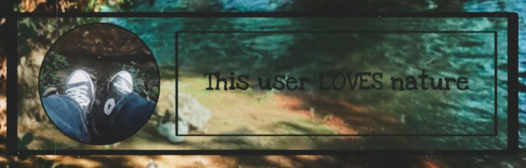 I wanna make dsmp userboxes so PLEASE HMU | Fandom