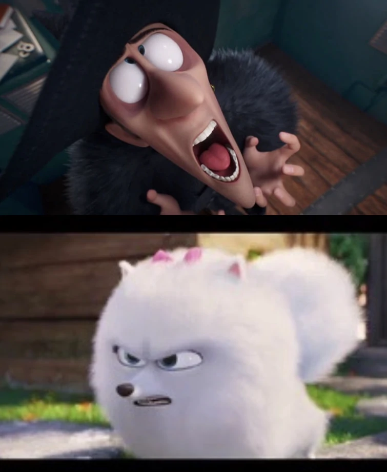 Gidget Bites Sergei Meme | Fandom