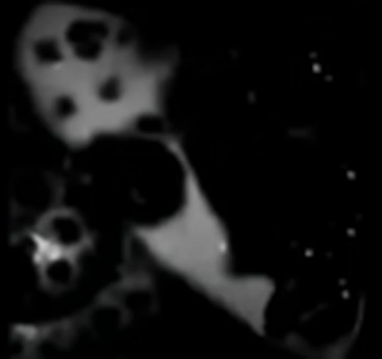 Discuss Everything About Battle for Dream Island Wiki | Fandom
