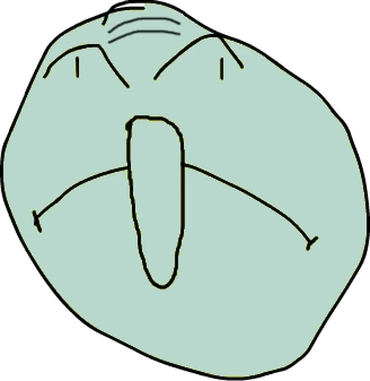 Send me your cursed bfb/tpot images | Fandom