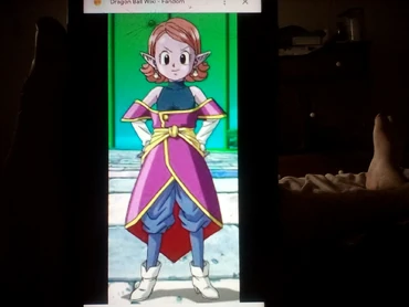 Chronoa vs Lord Simultaneous (Dragon Ball Heroes vs TMNT) | Fandom