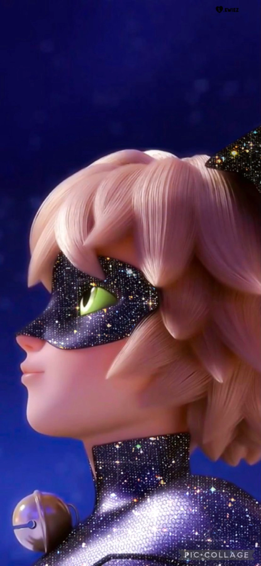 Cat Noir (series) | Fandom