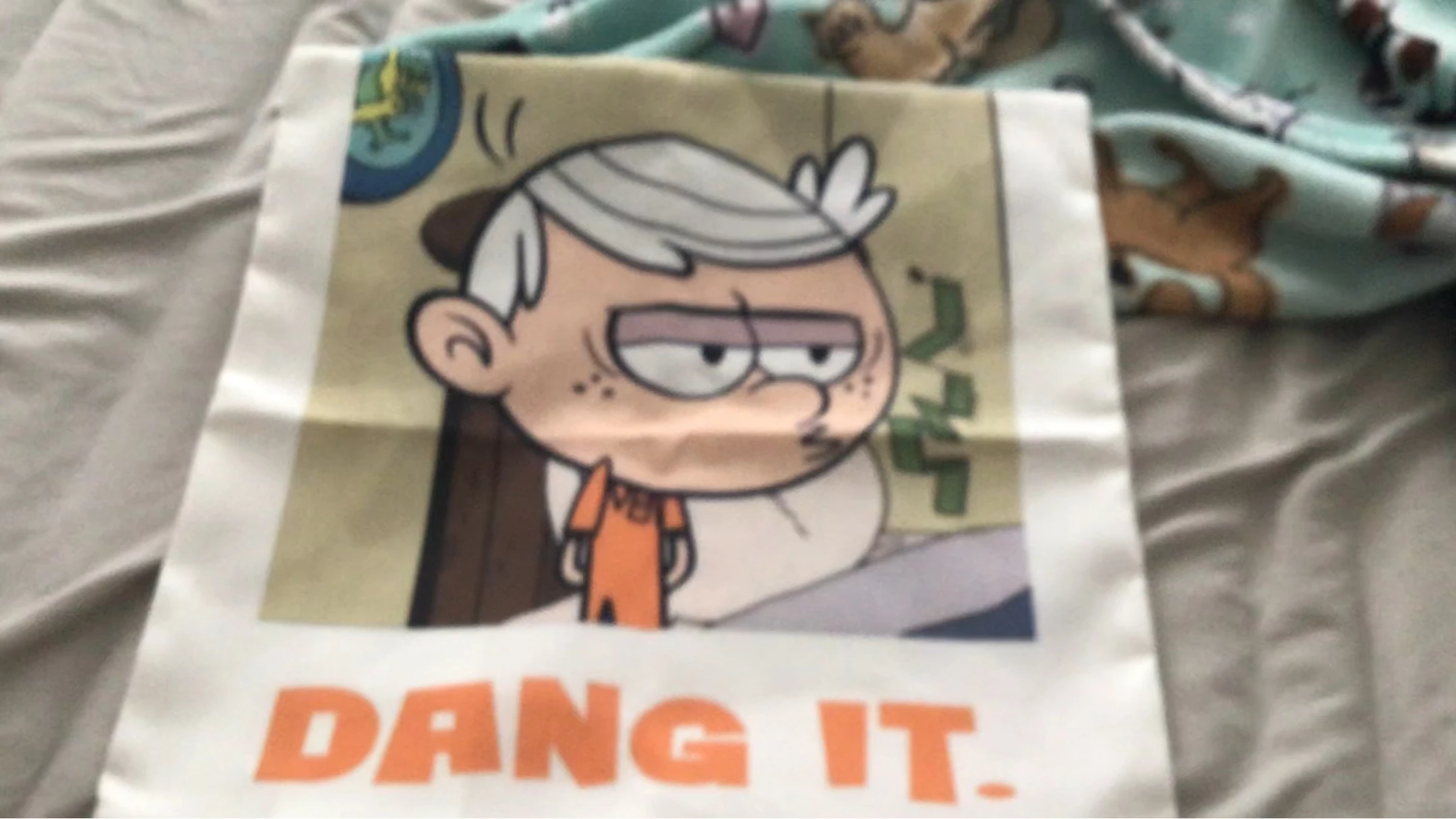 2/3 of my Loud House merch is here! | Fandom