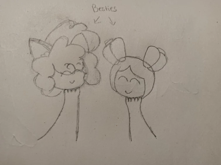 Cattail Cookie | Fandom