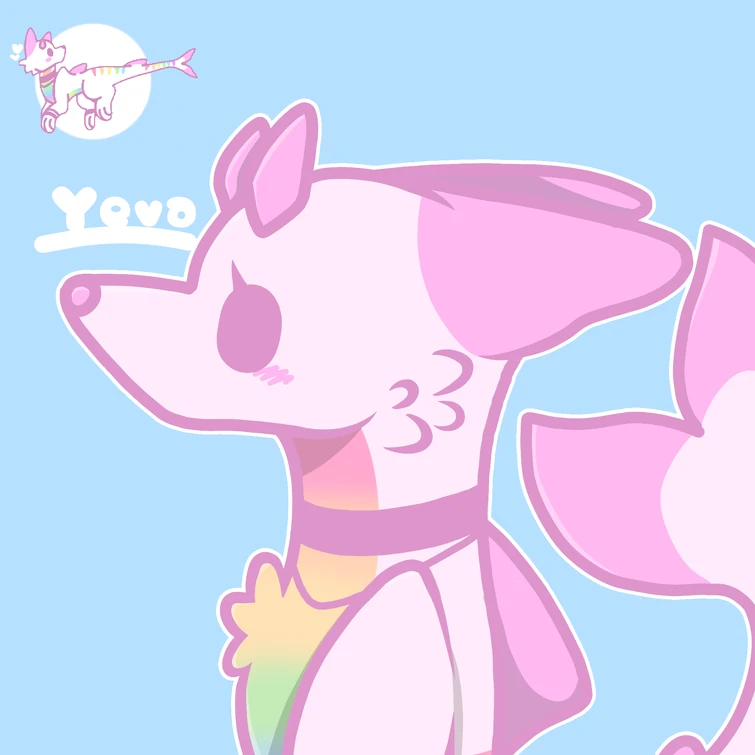 Shark Cats!! | Fandom