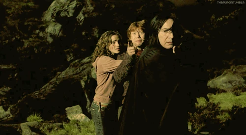 Why Snape is the most misunderstood character | Fandom