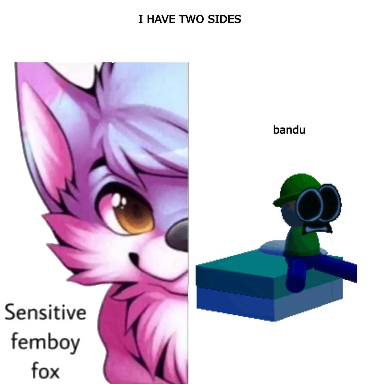 i have two sides | Fandom