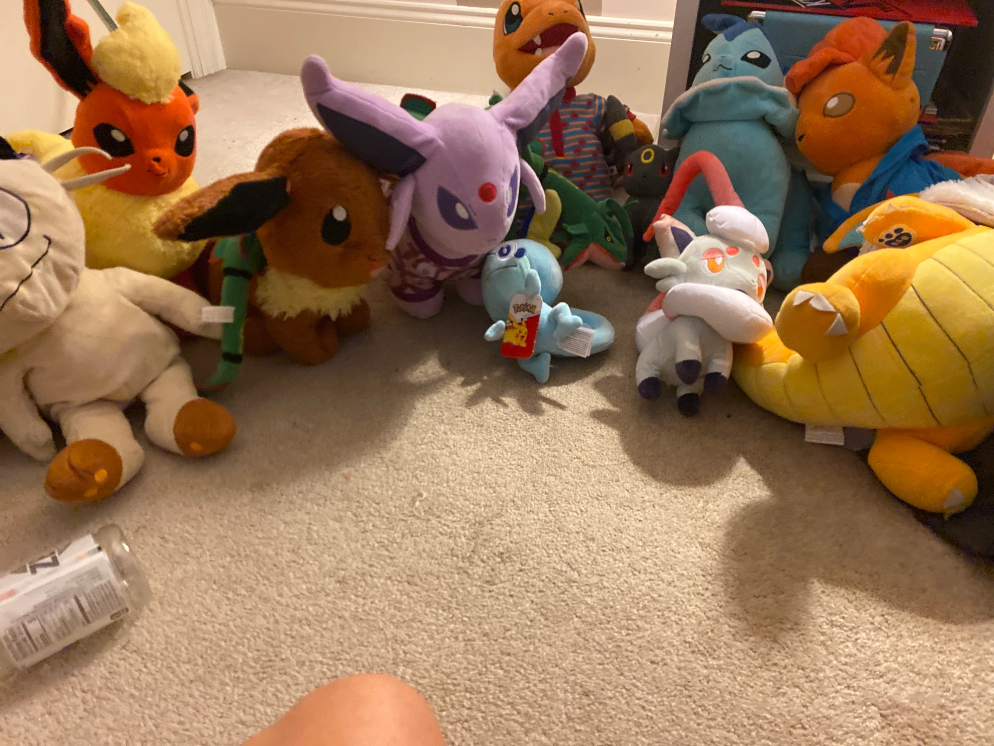 All of my Pokémon plushies | Fandom