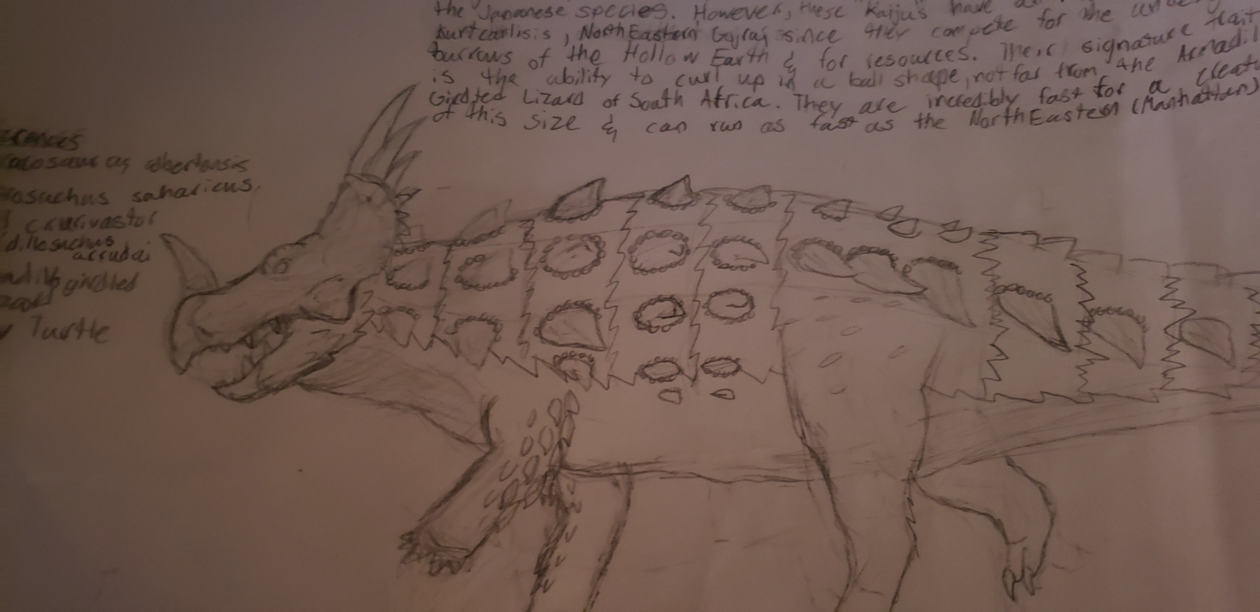 MY DRAWINGS! | Fandom