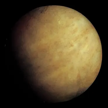 Discuss Everything About Wookieepedia | Fandom