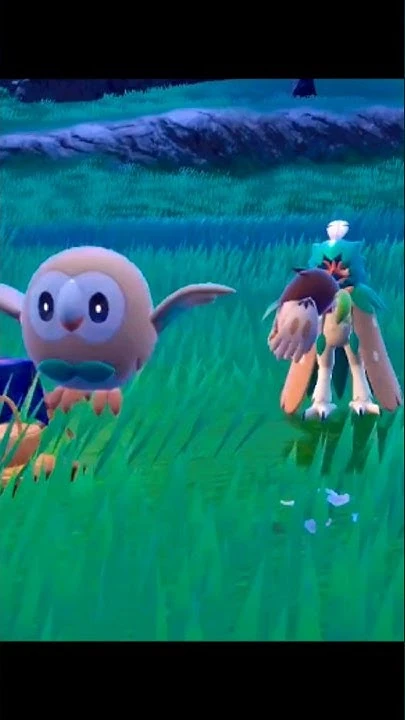 Why is Scarlet and Violet Rowlet like a pwcious baby 🥺 | Fandom