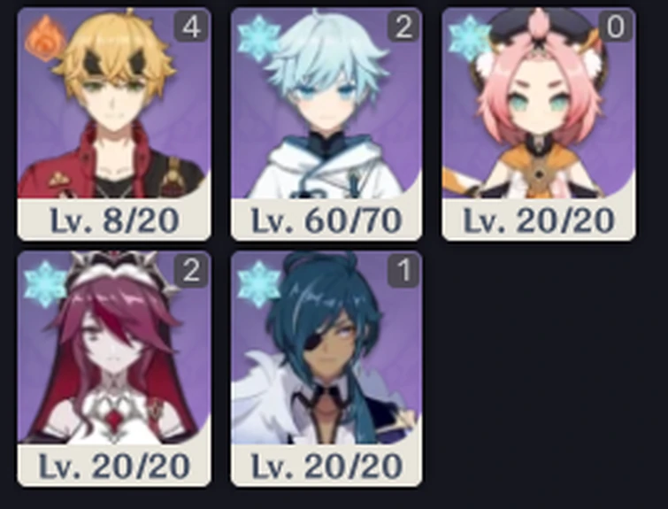 raiden team recommendations | Fandom