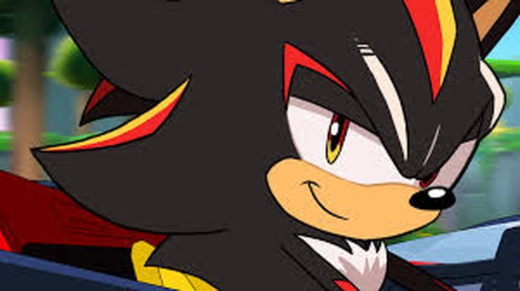 Could somebody tell me who Shadow's smiling at in Team Sonic Racing ...