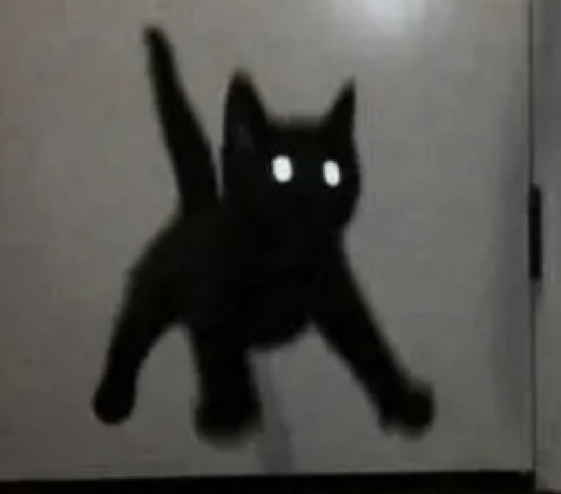 HEY EVERYONE | Fandom