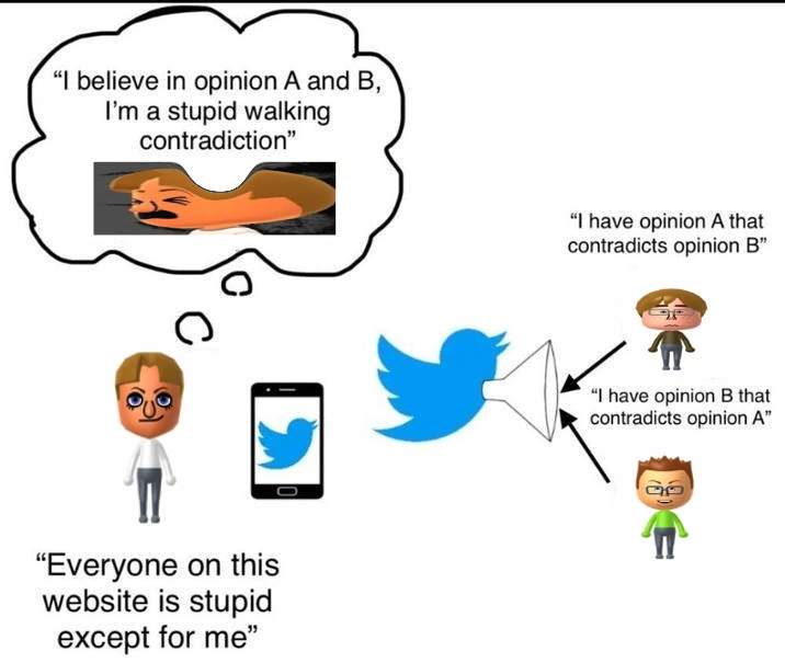 Mii Fallacy | Fandom