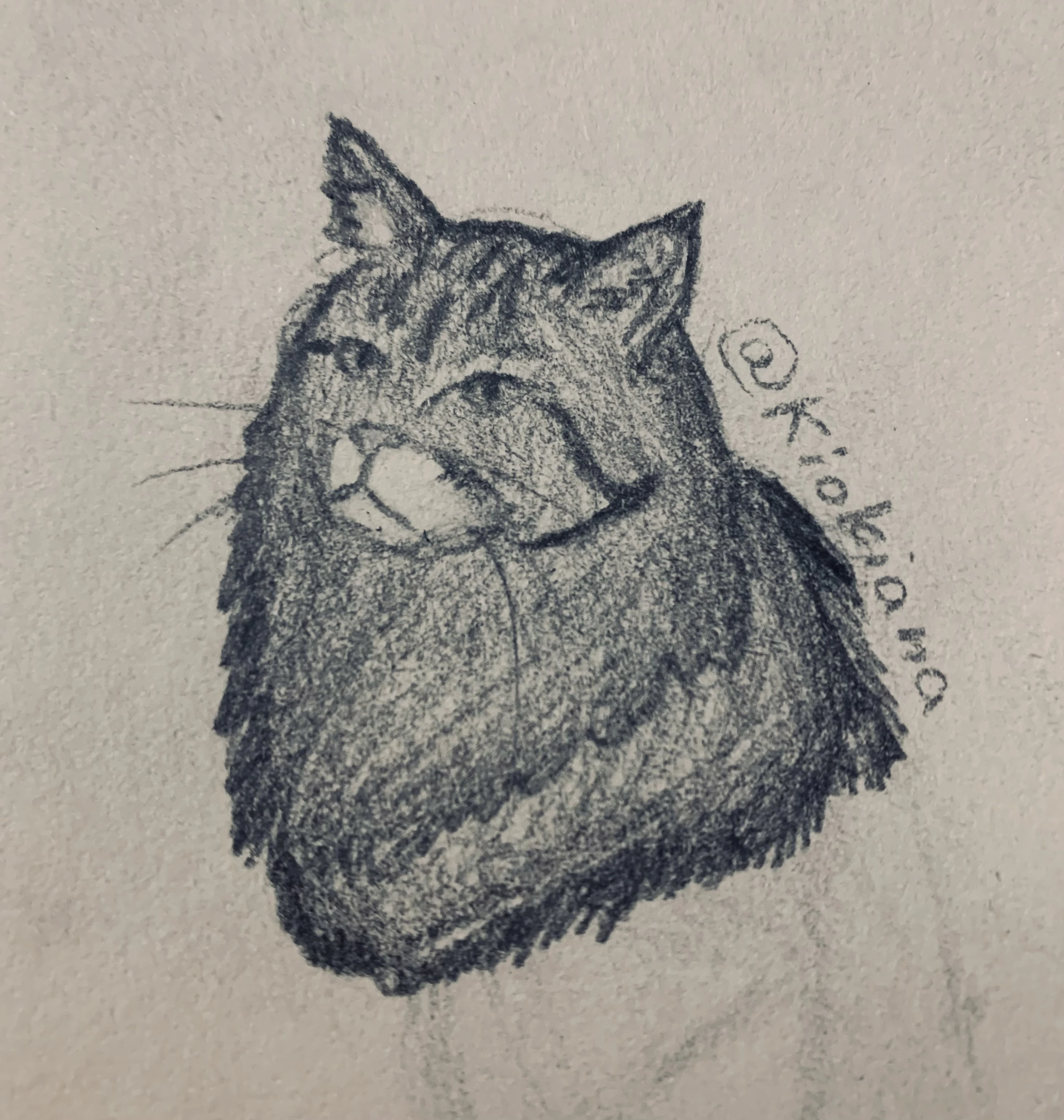 DRAWING ADOPT ME PETS REALISTICALLY PART 3 😋 | Fandom