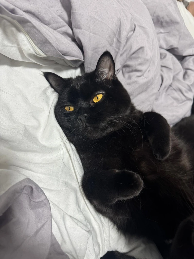 Fruit humanization pt.12 | Fandom