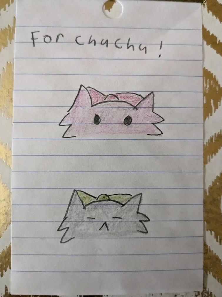 Mizuki and Shiho cats for chuchu. | Fandom