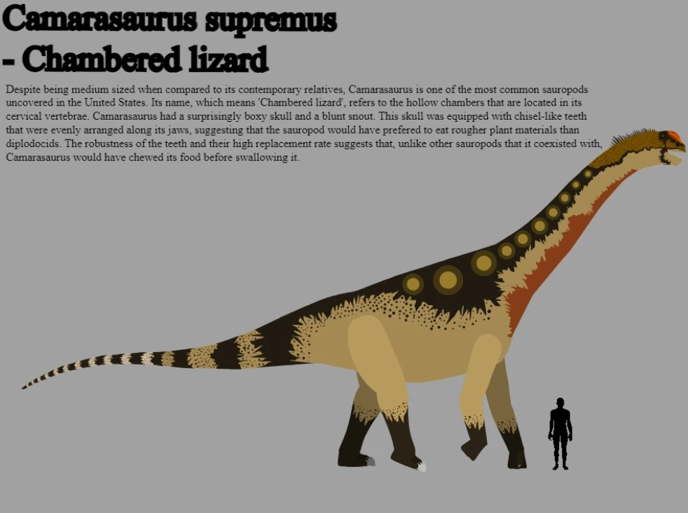 Camarasaurus art | Fandom