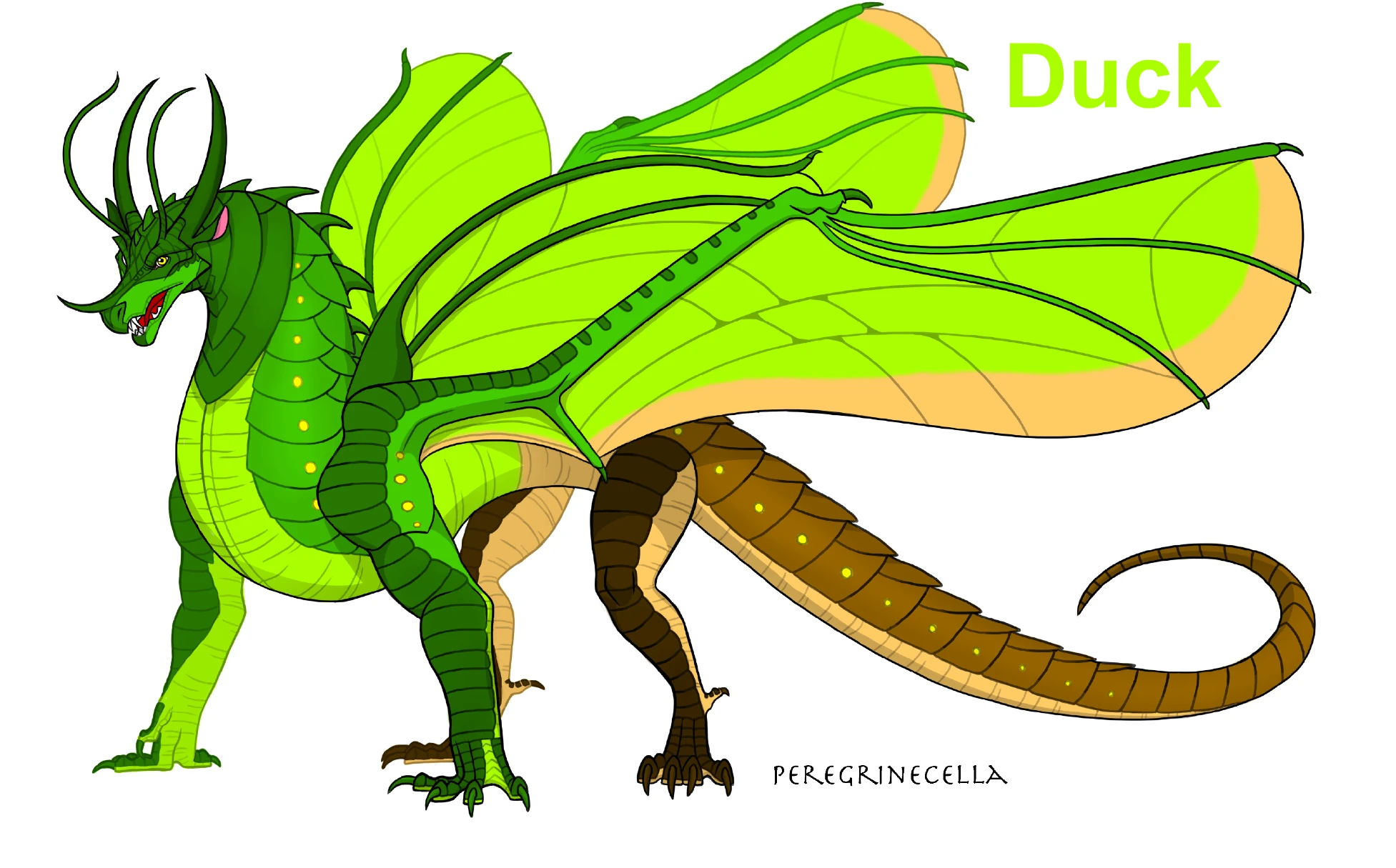 Wings of fire: The land of insects [Part 1] | Fandom