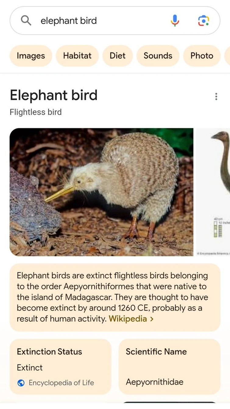 Off Topic Post | Fandom