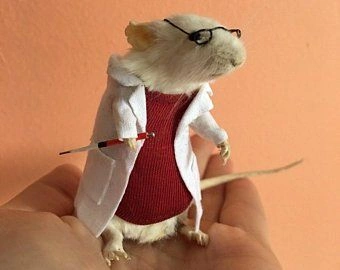 Dr. Rat | FFOS Database Wiki | Fandom