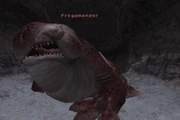 Frogamander | FFXIclopedia | Fandom
